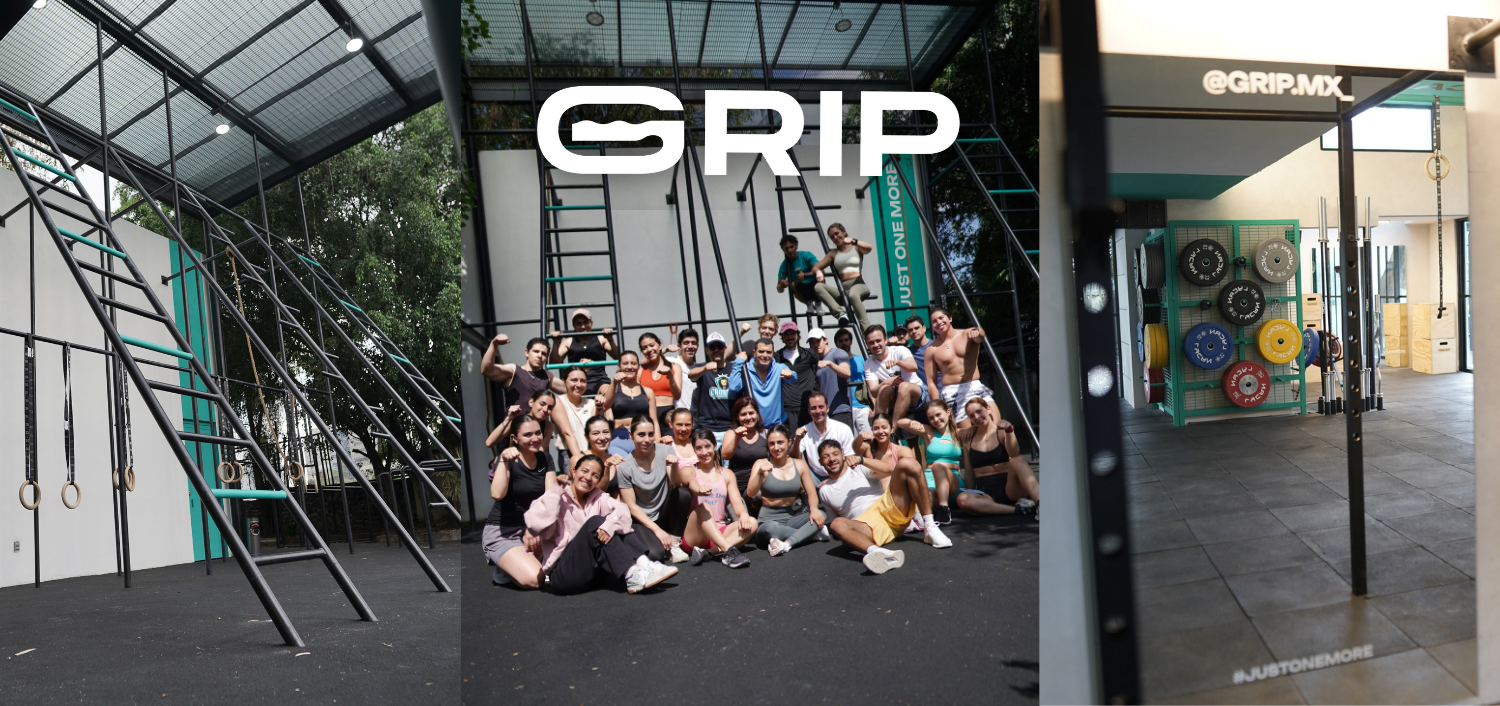 Inicio - GRIP